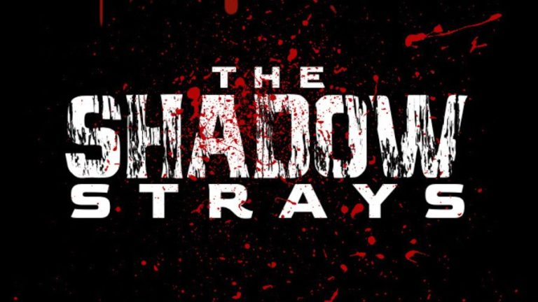 The Shadow Strays Season 1: Release Date, Cast, Plot, Trailer, And ...